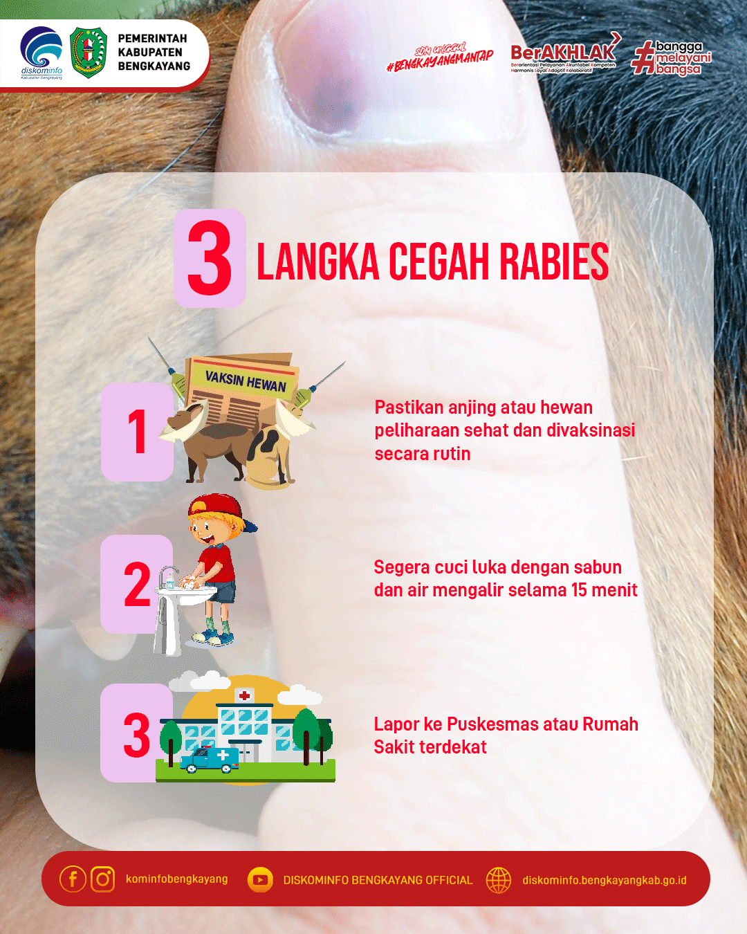 INFOGRAFIS – DISKOMINFO BENGKAYANG